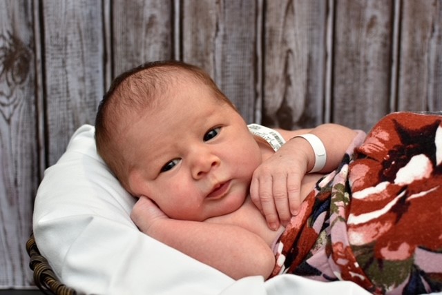 Evelyn Mai | News, Sports, Jobs - Daily Press